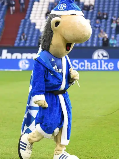 Das sind die Maskottchen der Fußball-Bundesligisten