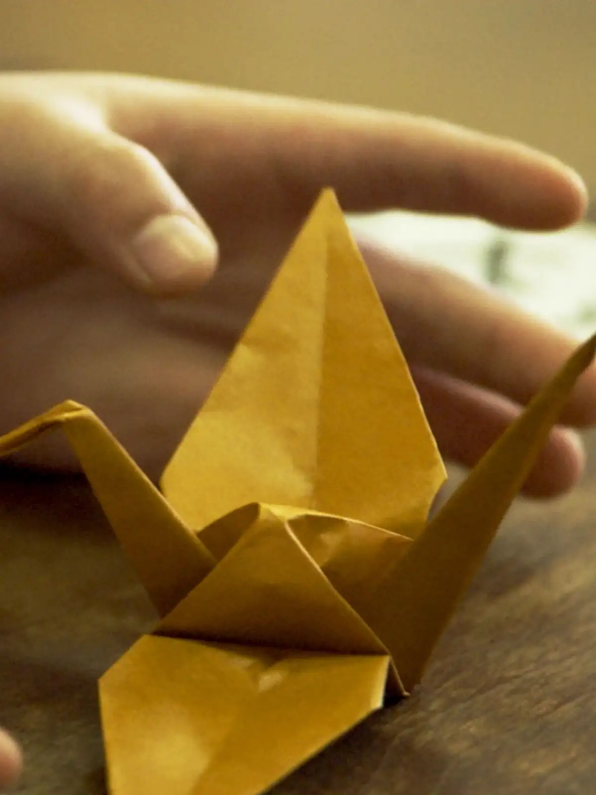 Faltung und Entfaltung