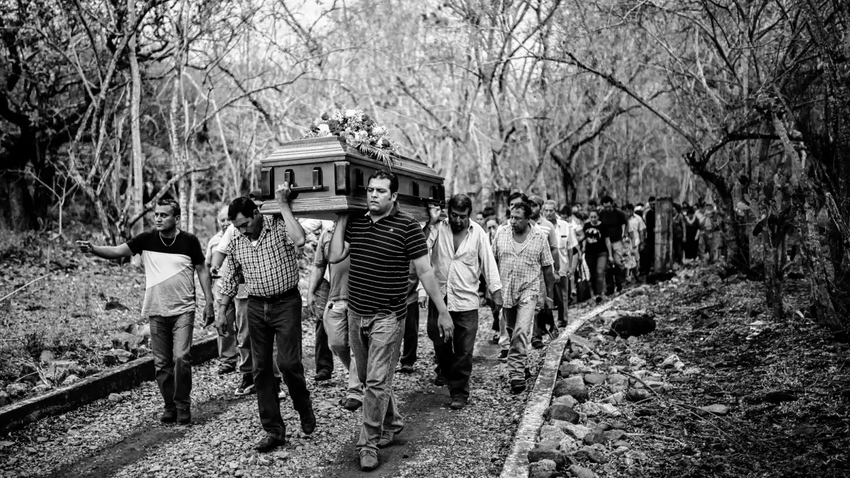 Im Wald des Schreckens