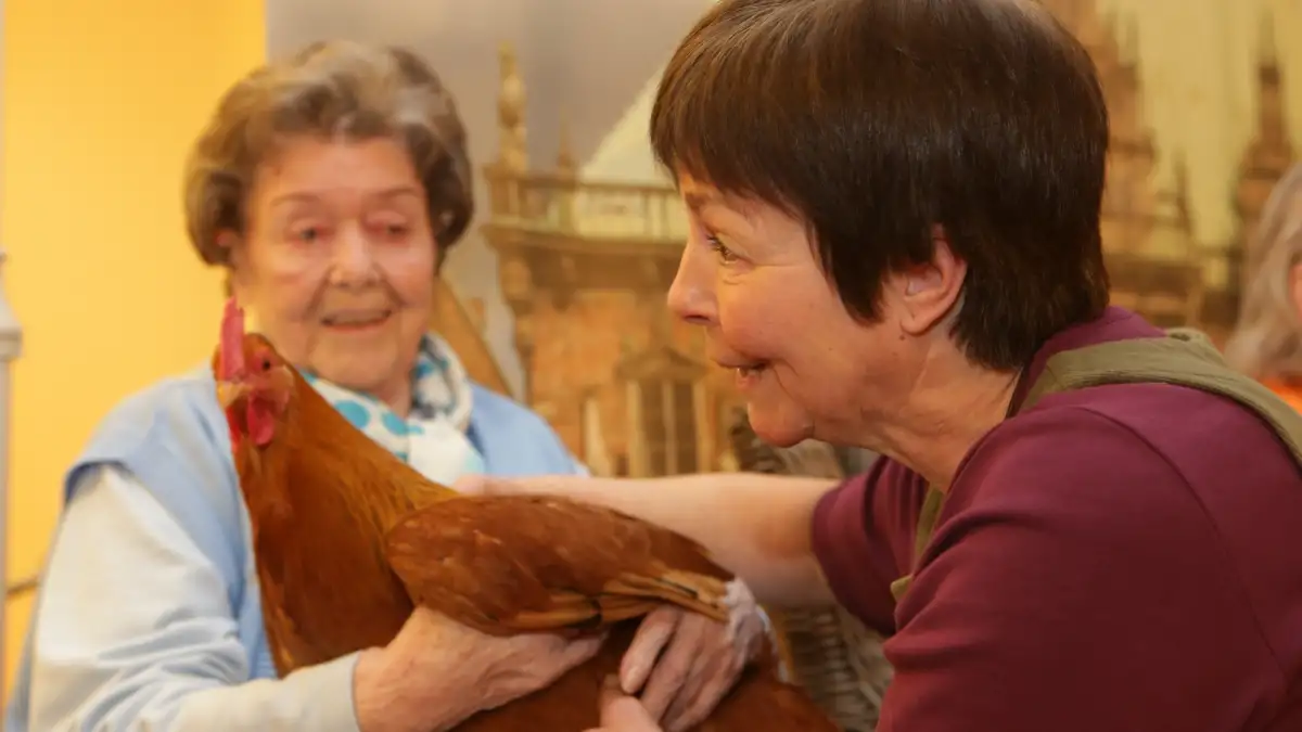 Cornelia Drees: „Manchmal geht noch Witz“