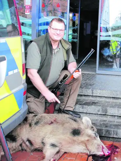 Wütende Wildschweine