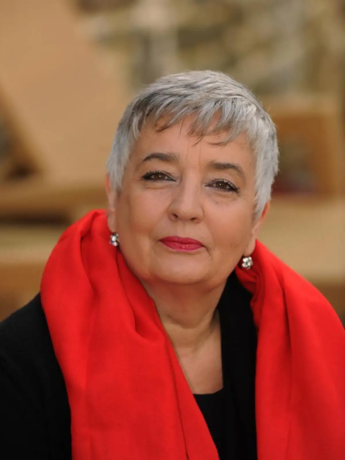 Produzent Ronald Mühlfellner und Autorin Christiane Sadlo über "Inga ...