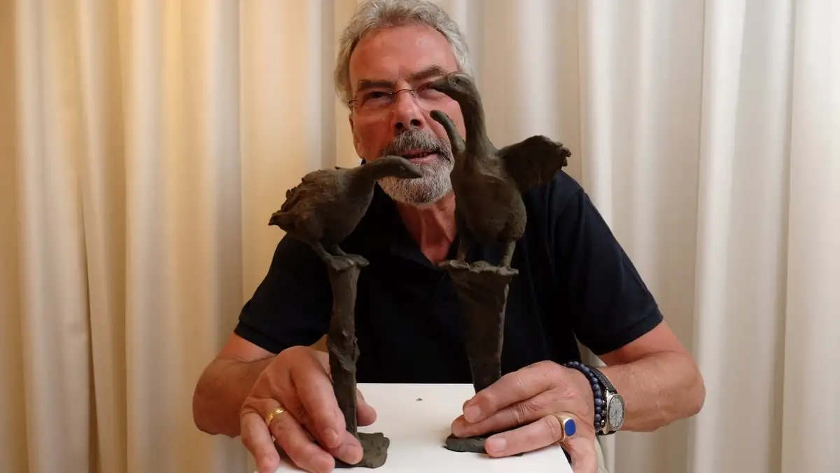 Ganter 2.0 vor der Landung