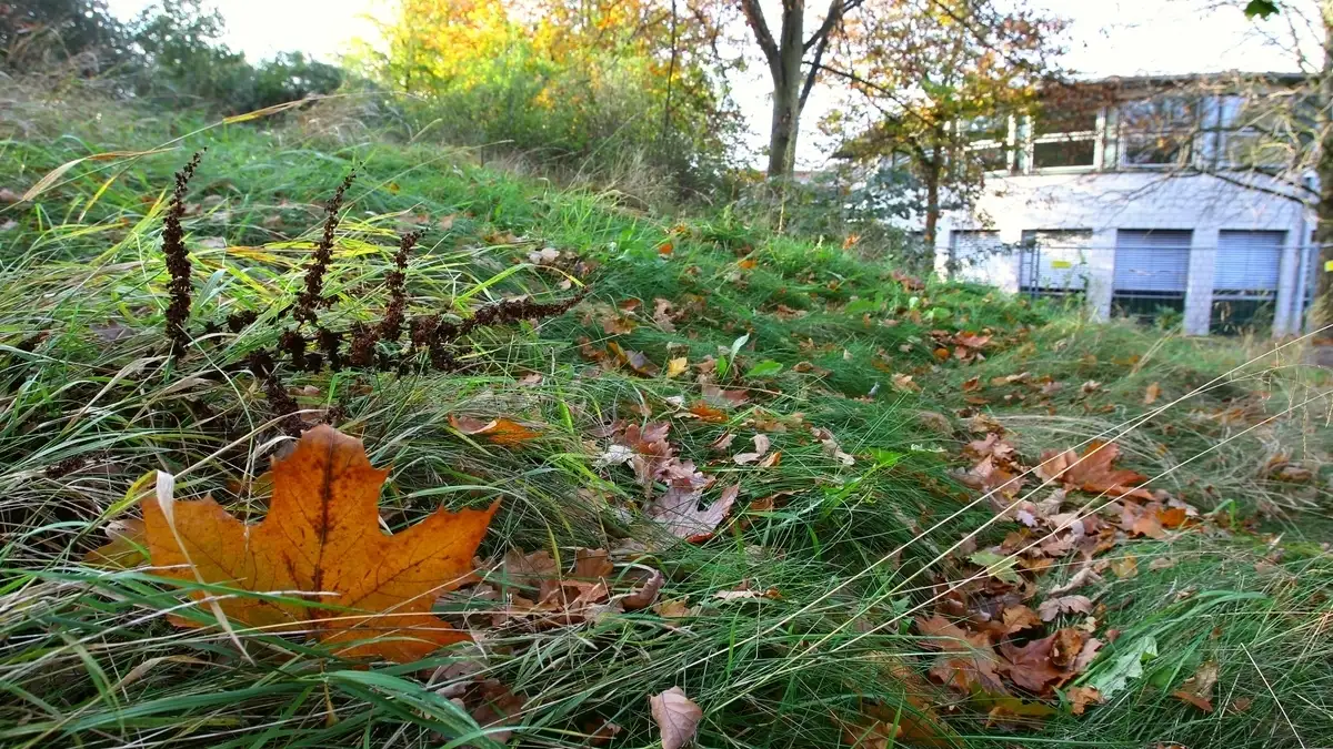 Der Wall wird Vergangenheit