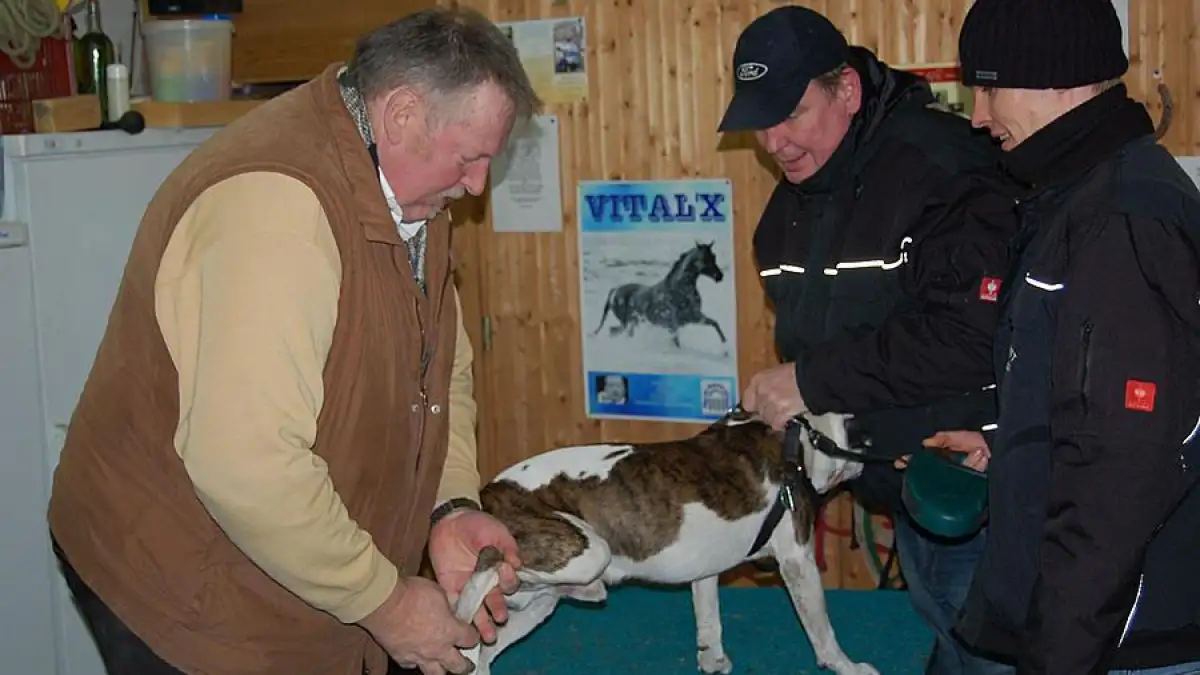 'XXL-Ostfriese' Tamme Hanken heilt Menschen, Pferde und Hunde