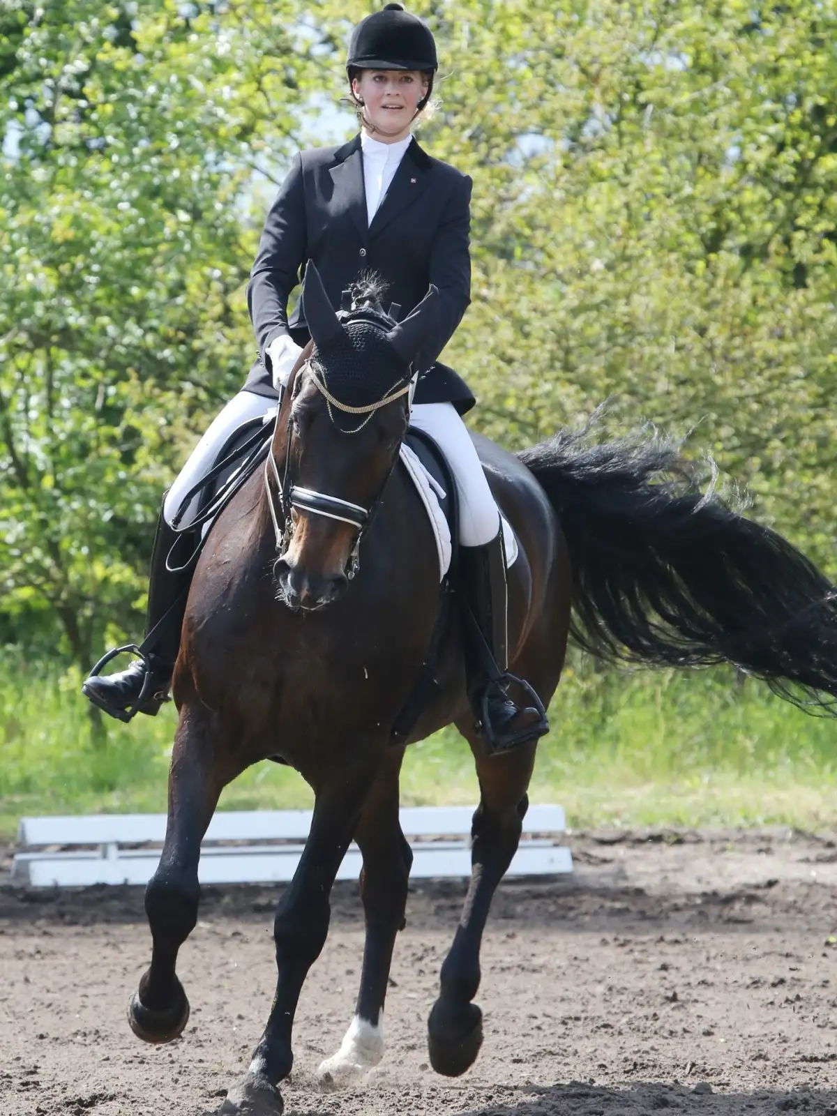 Reiter trotzen Wind und Regen