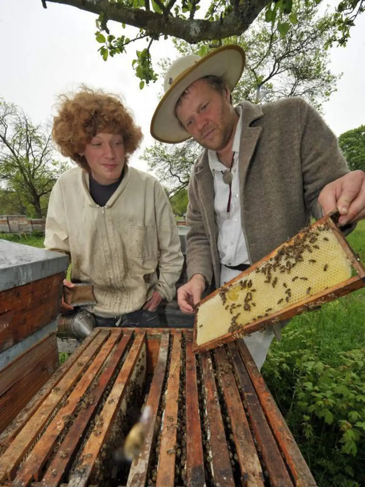 Wie werde ich ...? Imker