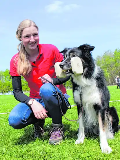 Die Hohe Schule des Gehorsams