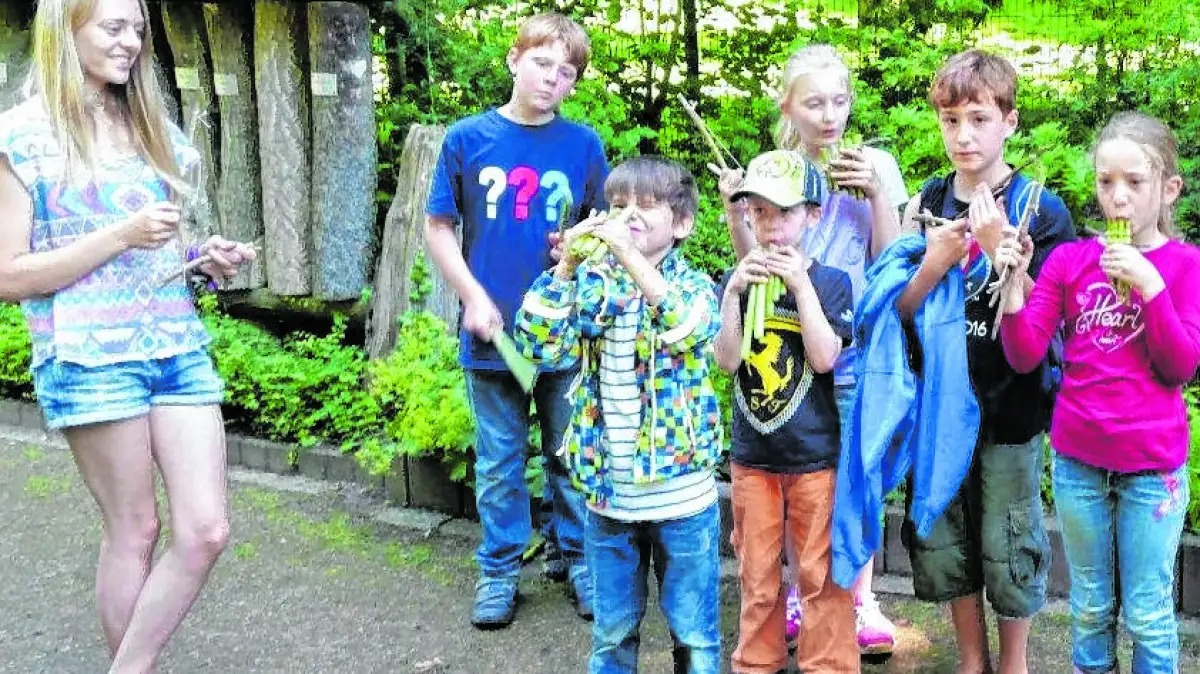 Musik auf Halmen und Zweigen