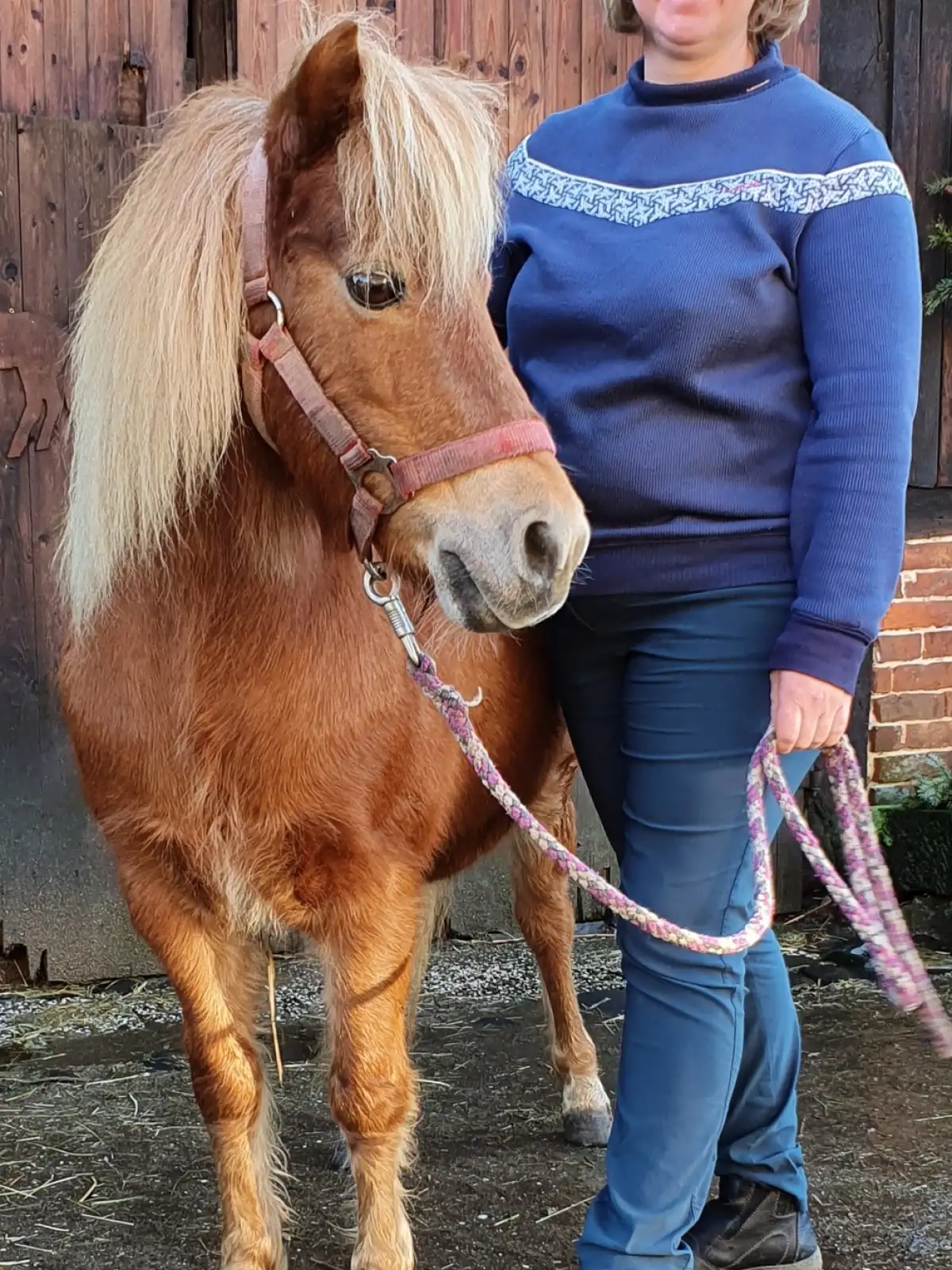 Das Porträt: Maren Hoppe-Peter infomiert Besucher
