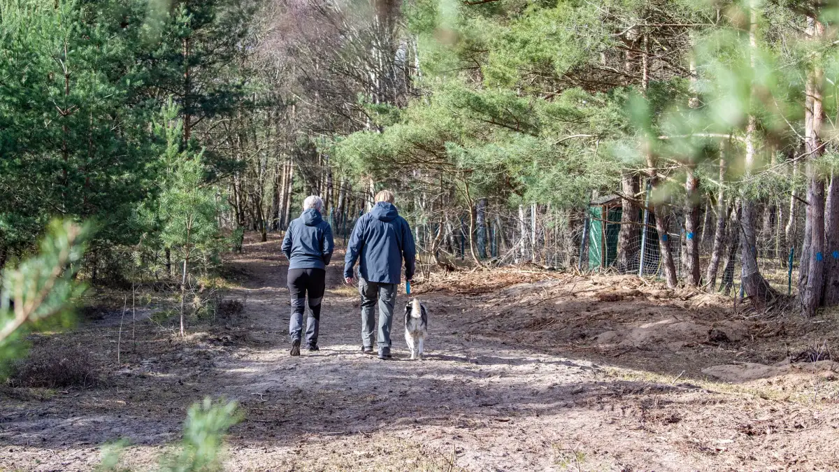 Neues Wegenetz am Ellisee in Achim ist bald fertig