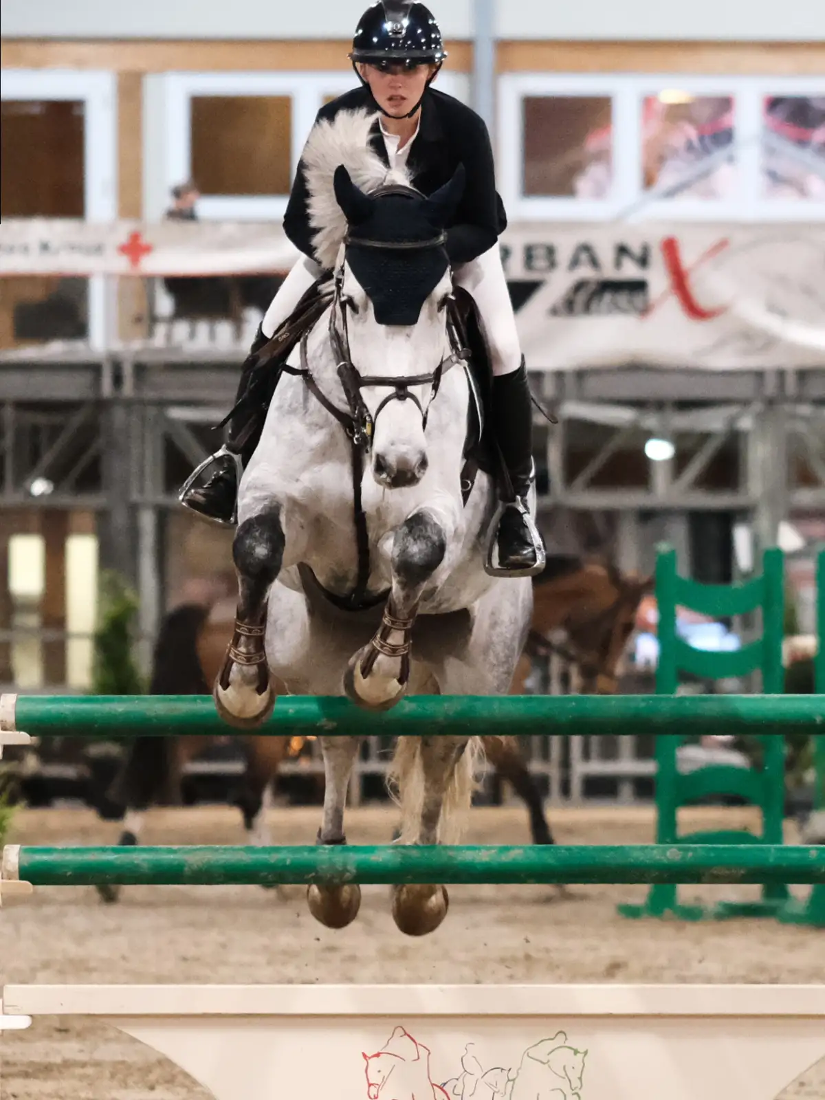 Springreiten: Laura Voigt vom RV Ganderkesee im Porträt