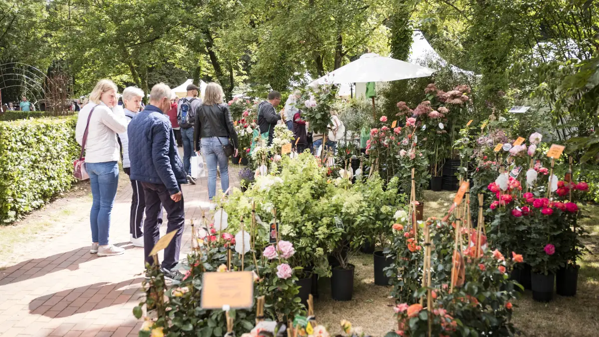 Rosenfest: Drei Tage am Heiligenberg