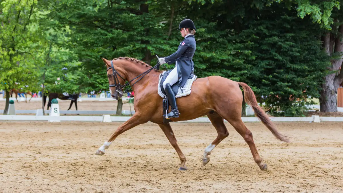 Dressurturnier auf dem Hof Becker: Starke Maike Becker