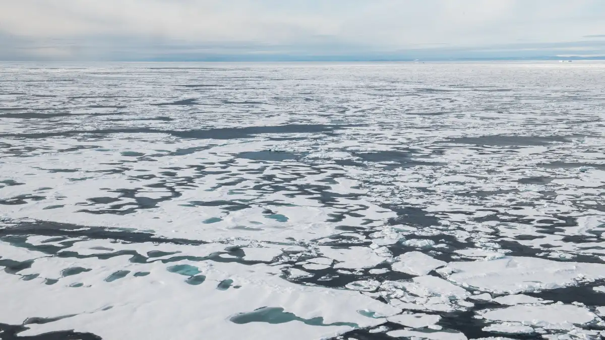 AWI: Meereis in der Arktis 2022 nicht überdurchschnittlich geschmolzen