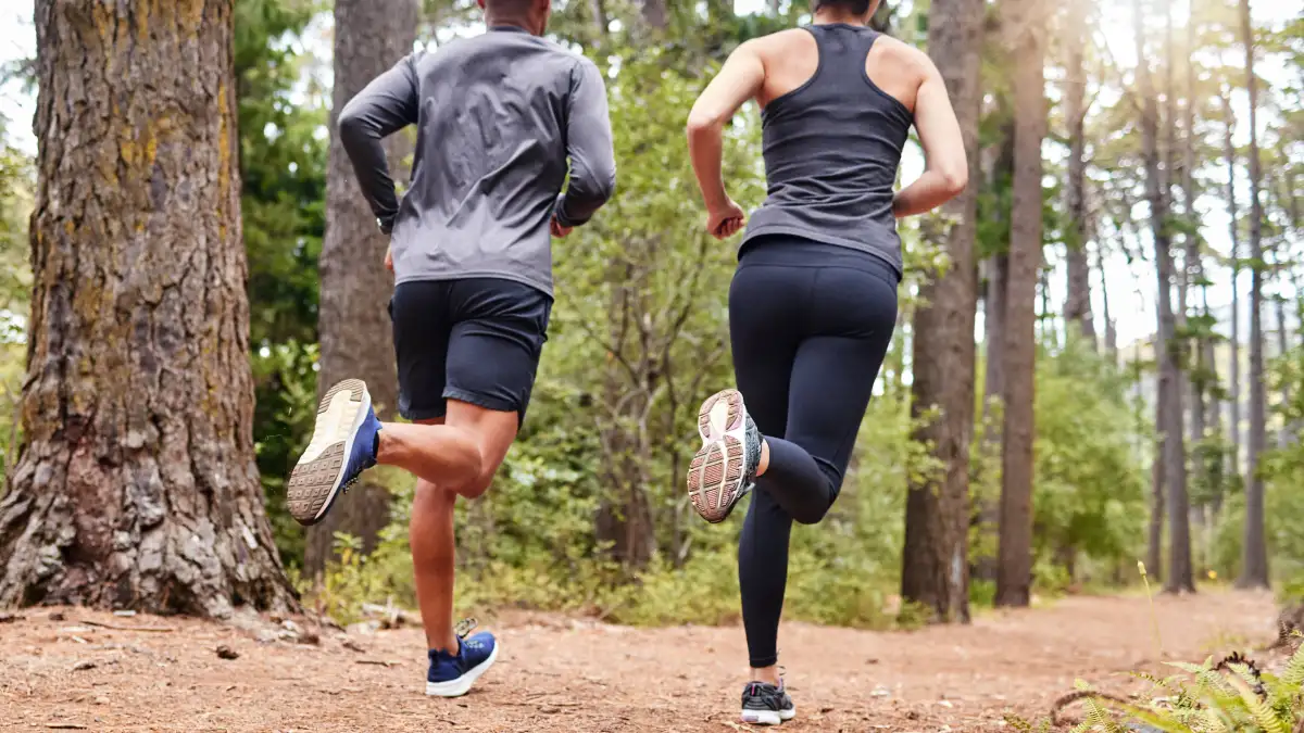 Orientierungslauf: Viermal Gold für Sportler des TSV Worpswede