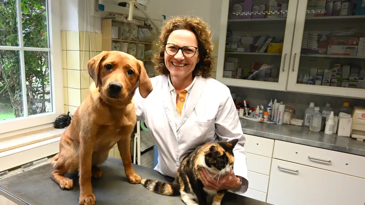 Neue Gebührenordnung bei Tierärzten