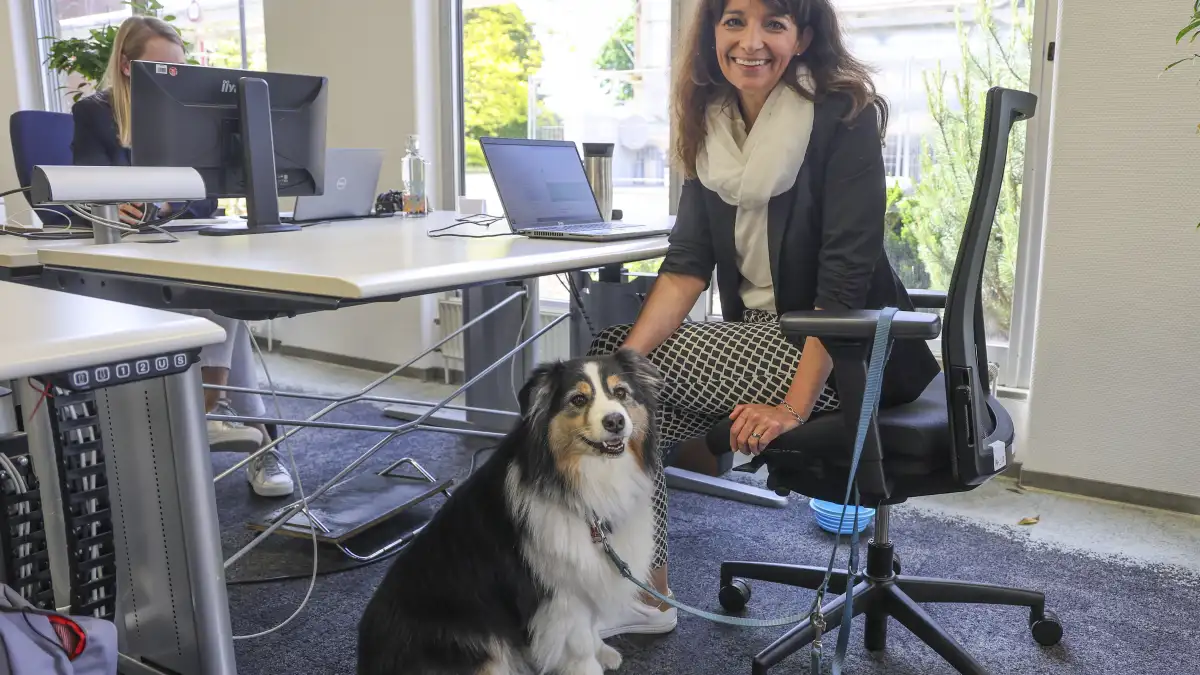 Bei Mars in Verden gehören Bürohunde zum Alltag