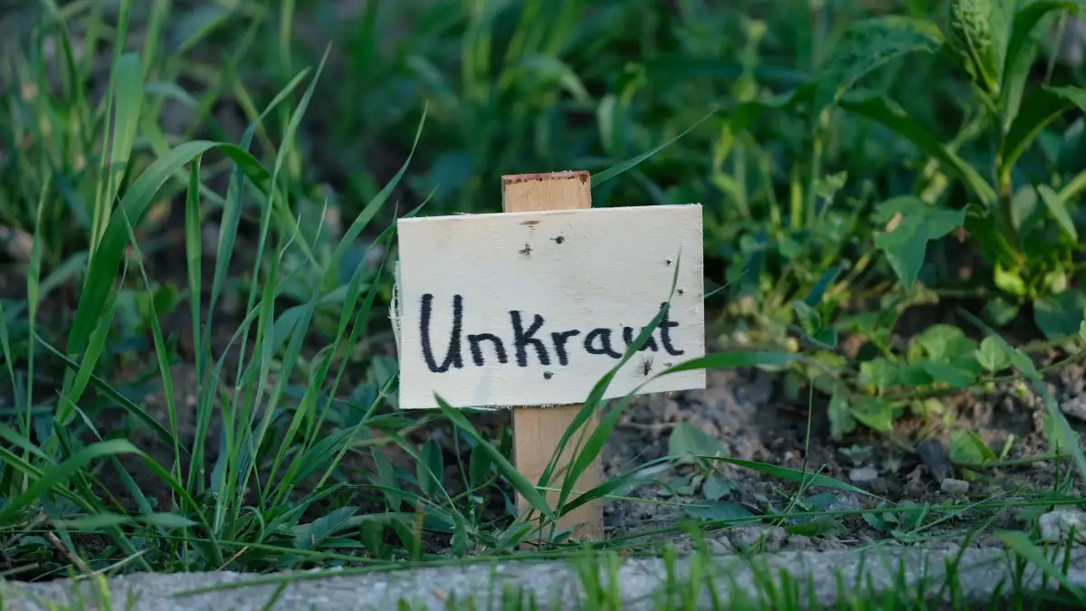 Unkraut Abflmmen Verboten