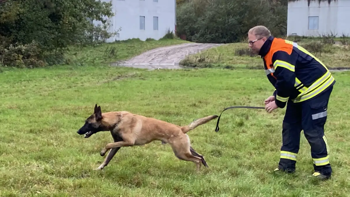 So wird Murdog aus Lemwerder zum Trümmersuchhund ausgebildet