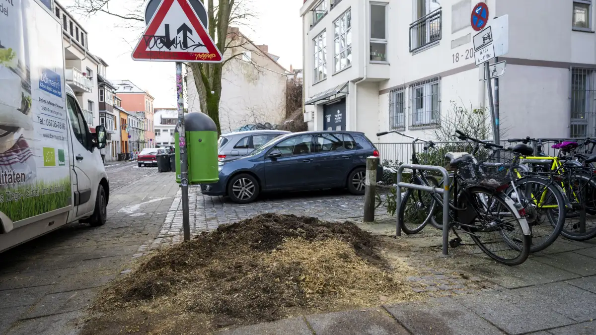 Bremen: Haushaltsnotlage blockiert das Pflanzen neuer Bäume