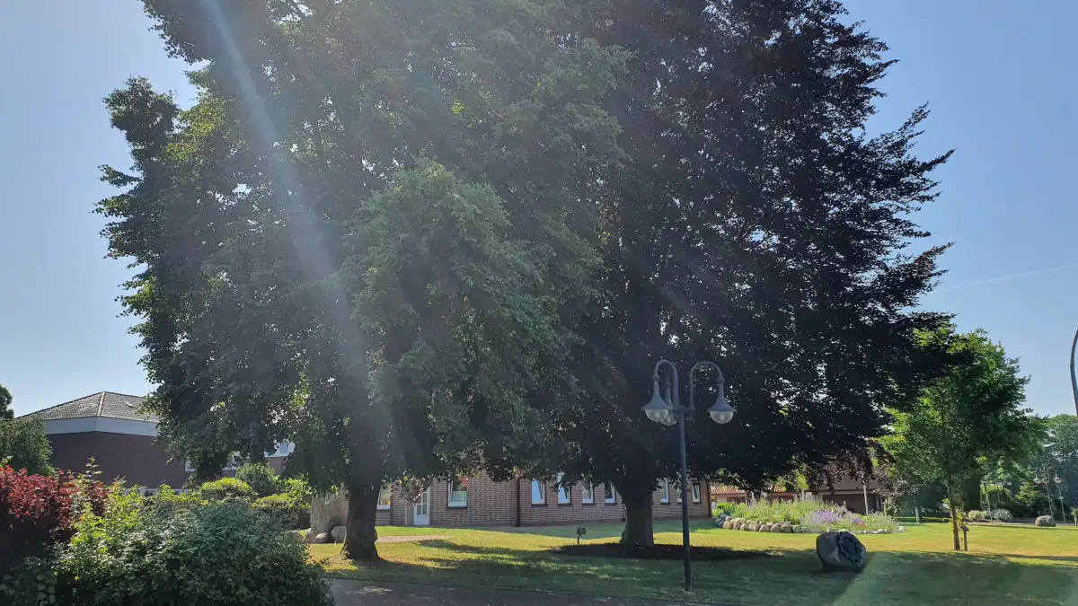 50 Jahre Gemeinde Schwanewede