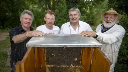 Tag der offenen Tür im Verdener Bienenzentrum: Imkerei hautnah erleben