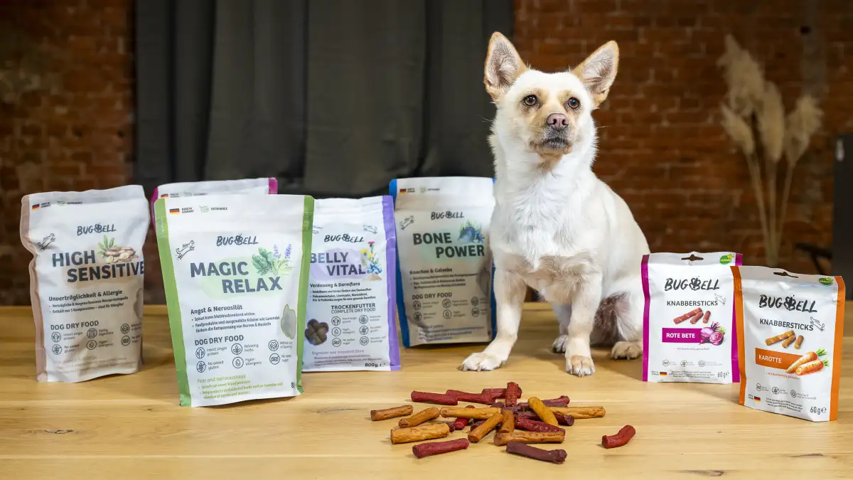 Bremer Start-up Bugbell: Für Bello nur das Beste