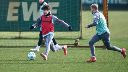 Werder Bremen: Kommt Covic als Schmid-Ersatz infrage?