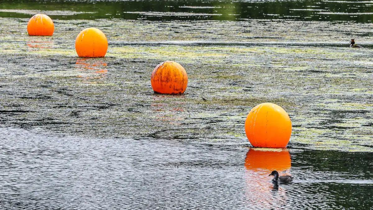 Twerk naked k-girl famine in NOVA motivated me to take the