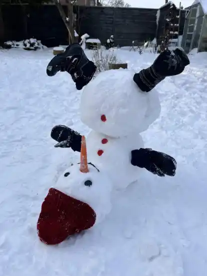 Schneemann-Challenge am Gymnasium in Delmenhorst: die Gewinner