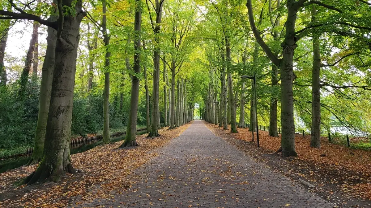 Glamping in Denekamp: Familienurlaub in Overijssel erleben