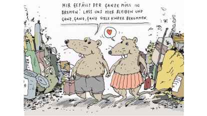 Über Bremen, Deutschland und die Welt: Die Karikaturen im WESER-KURIER